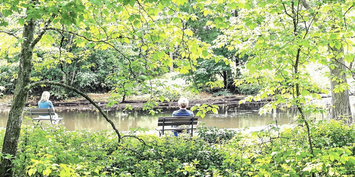 What Age Represents in Literature: A Deep Dive into Character and Theme ...